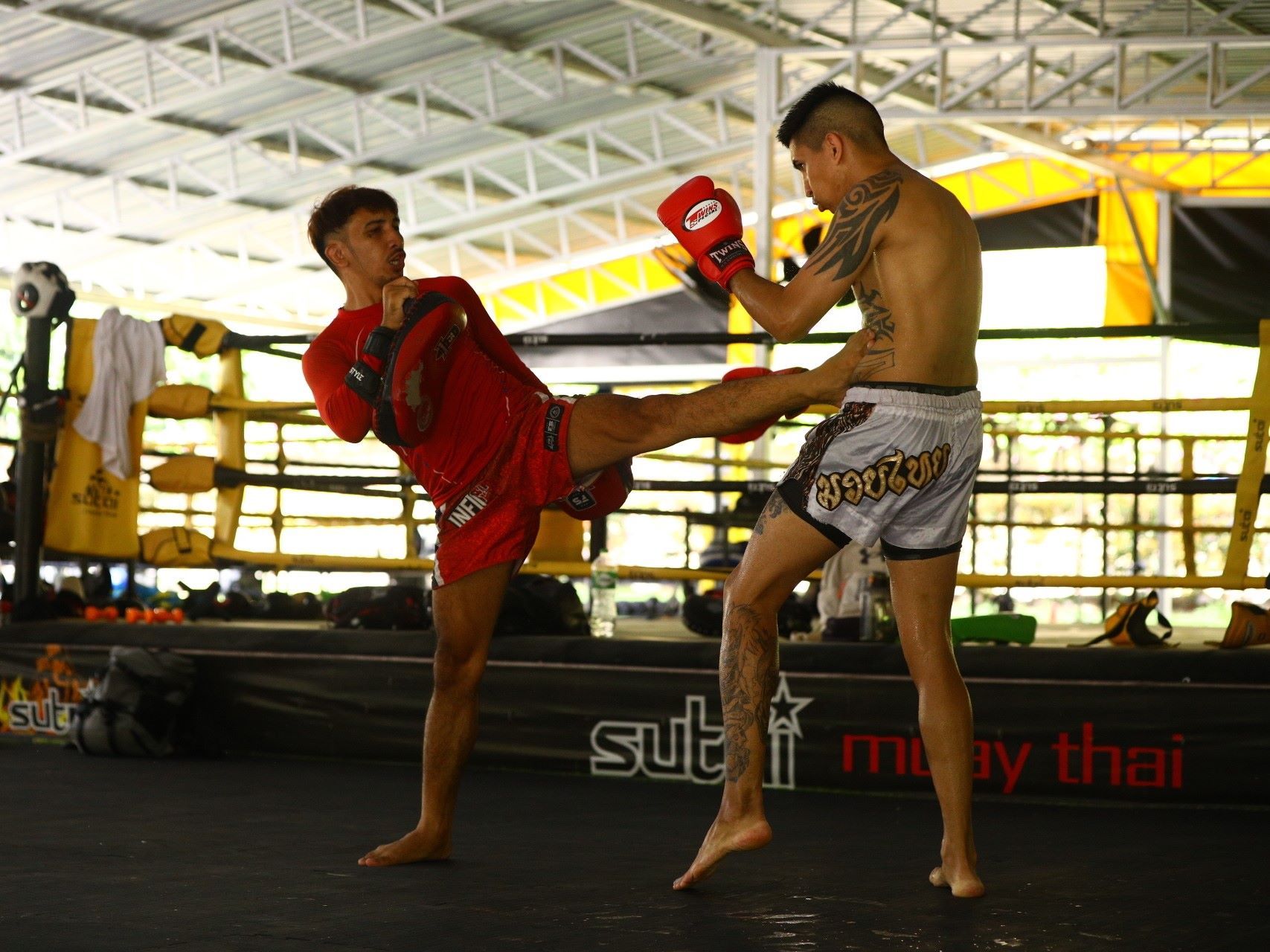 Muay Thai Training Class for All Levels : 3 Week (1 session a day ...
