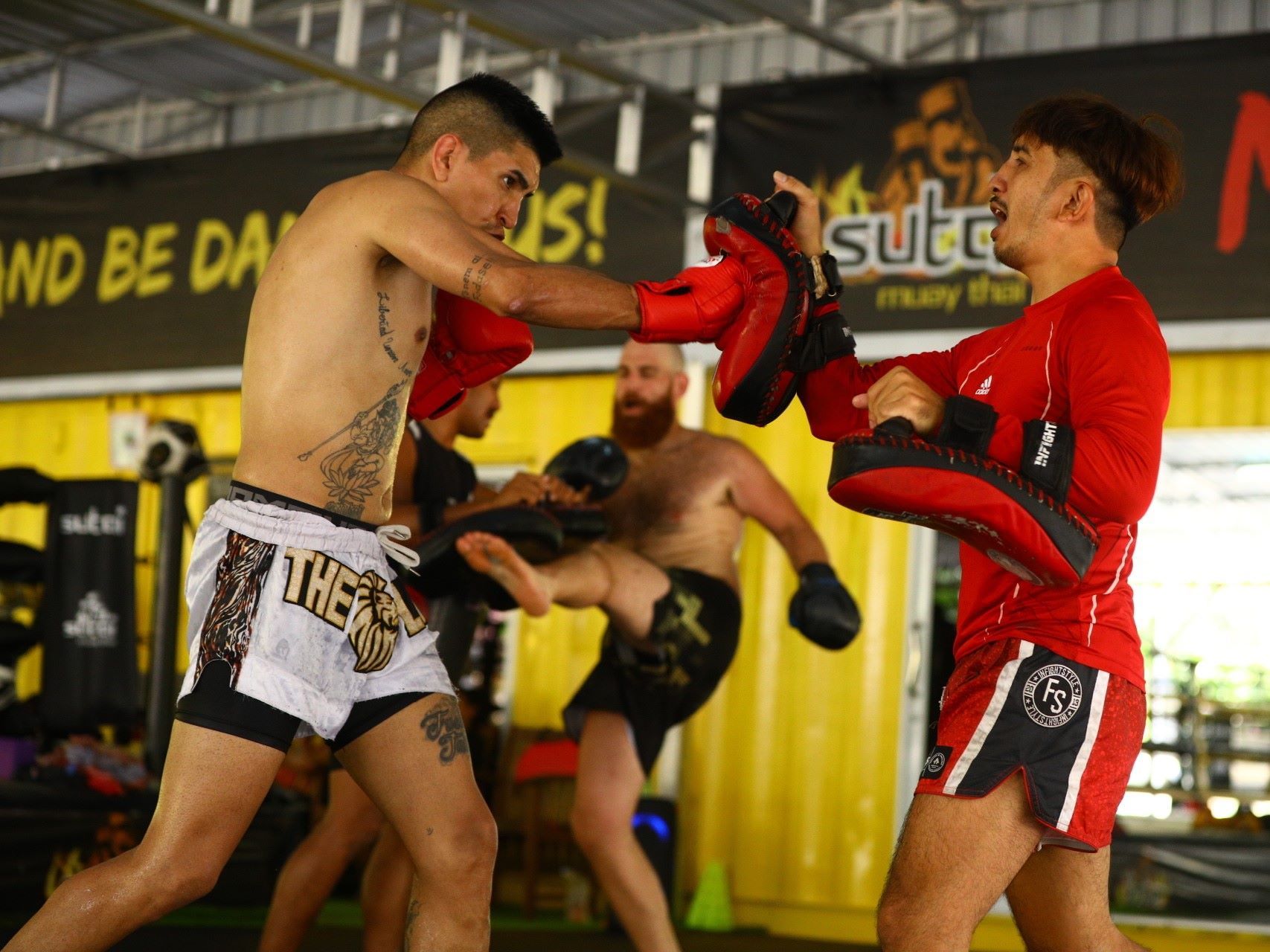 Muay Thai Training Class for All Levels : 1 Month (1 session a day) - NOW Muay Thai